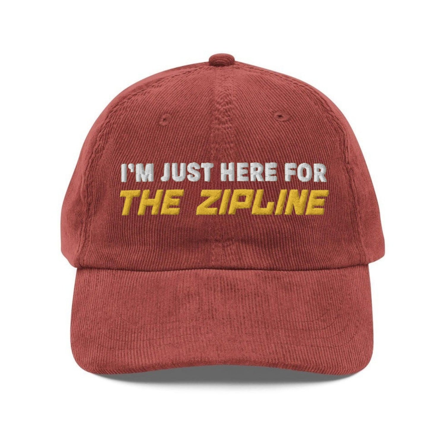 Custom Embroidered Tim Robinson Zipline Meme Hat – GatorHats